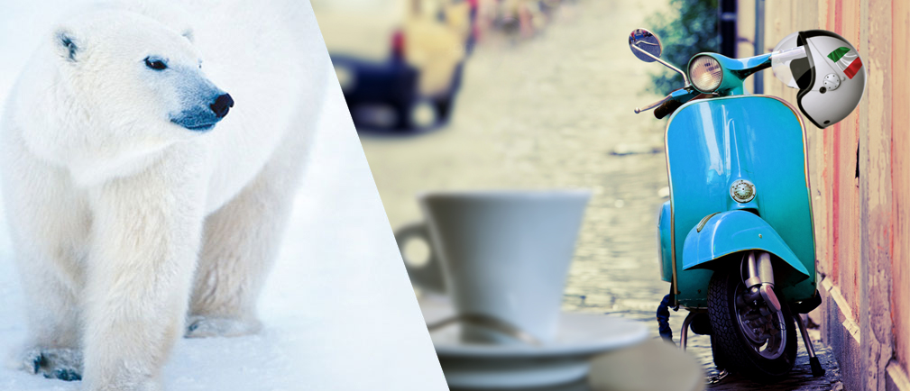 Baerlocher Italy: Baerlocher Italia - Your global partner for additives