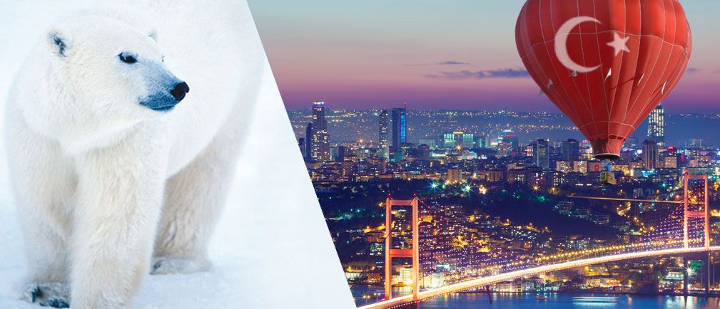 Baerlocher Turkey: Baerlocher Turkey - Your global partner for additives