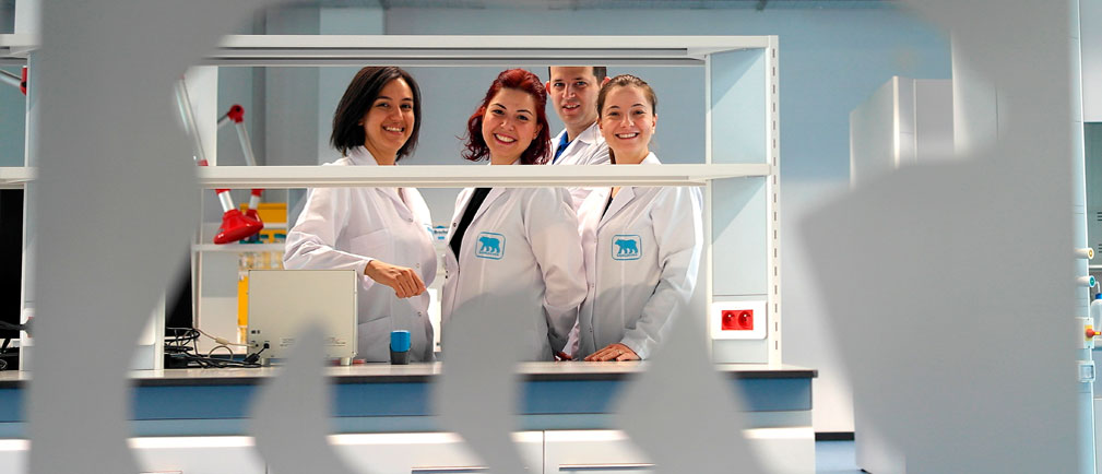 Baerlocher Türkiye: Baerlocher Türkiye - Your global partner for additives