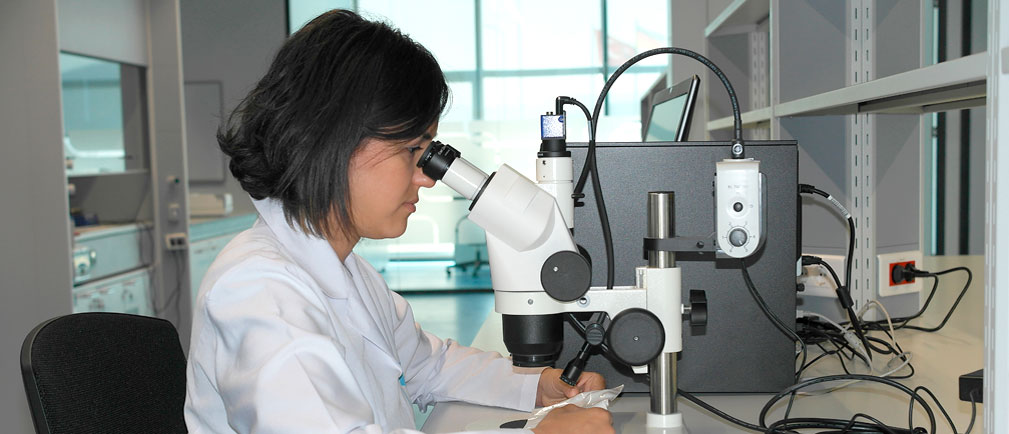 Baerlocher Turkey: Baerlocher Turkey - Your global partner for additives